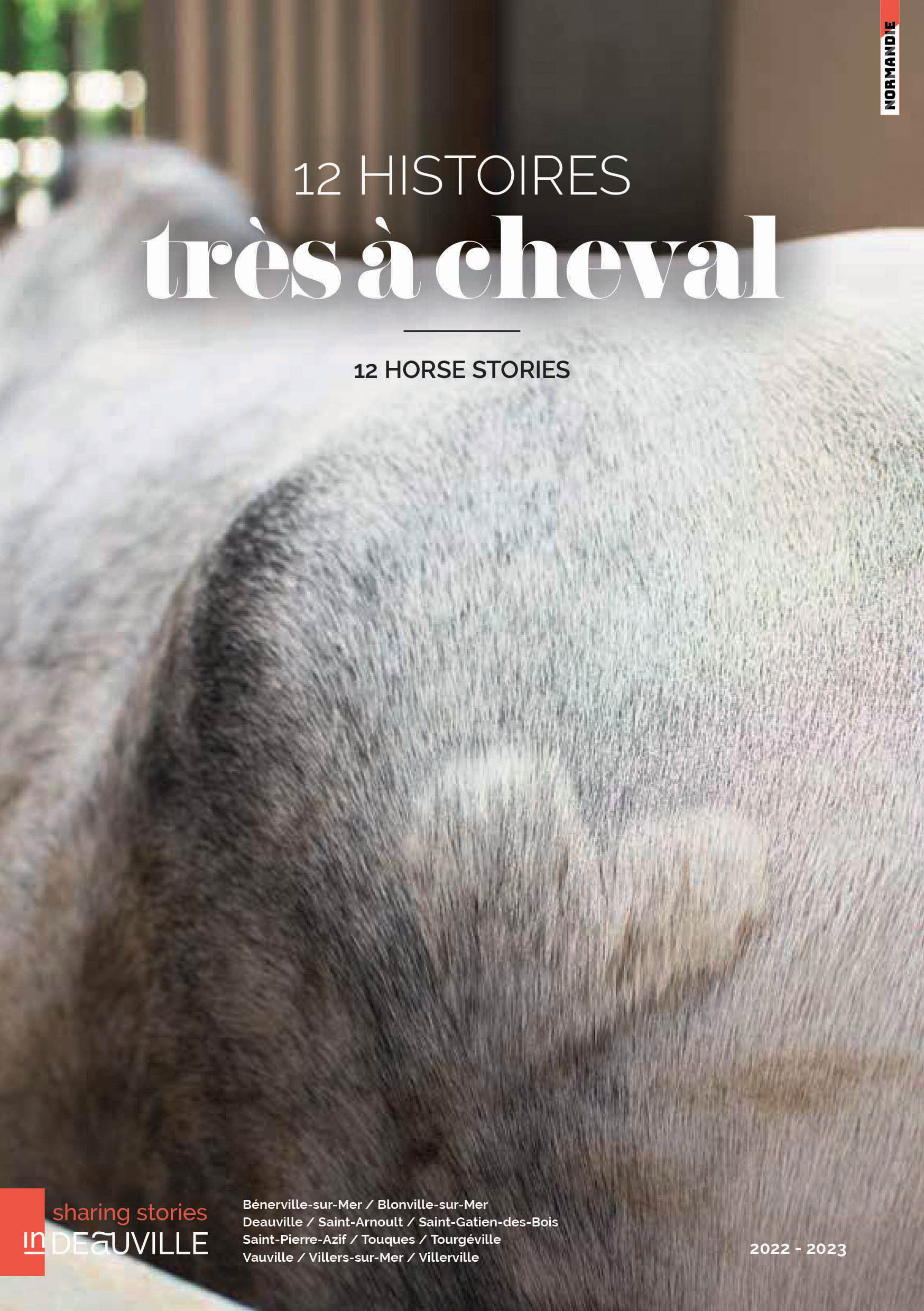 Anne Halley Portfolio