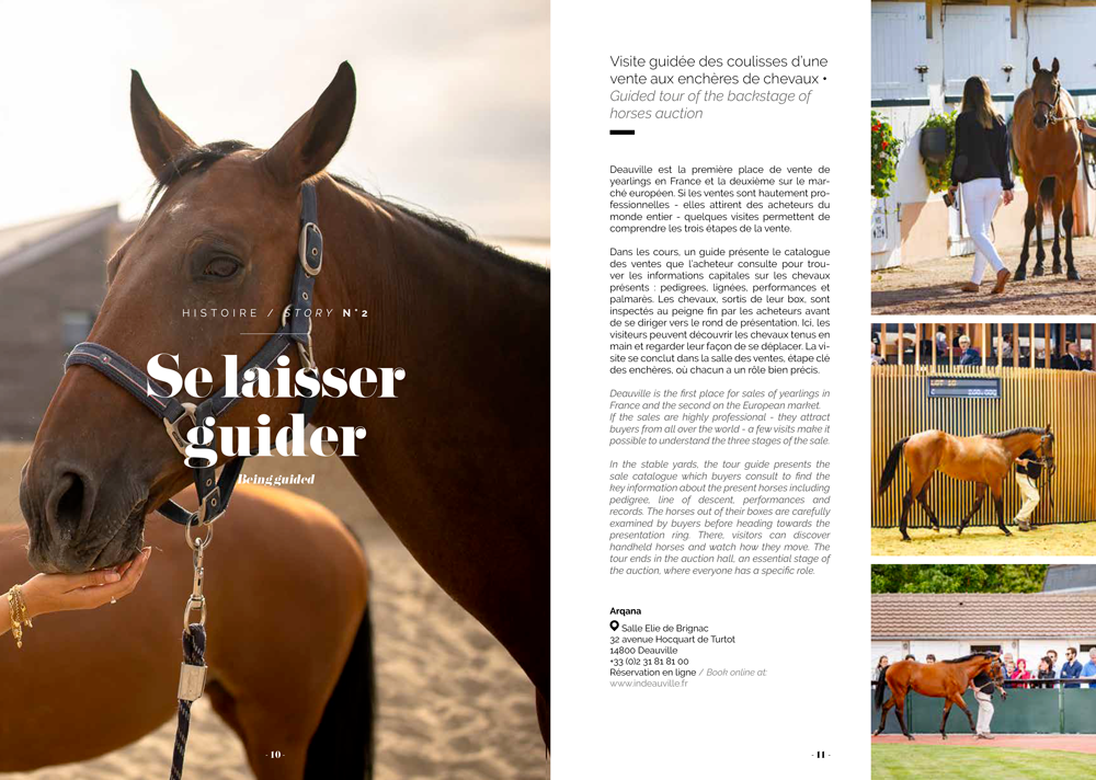 Anne Halley Portfolio