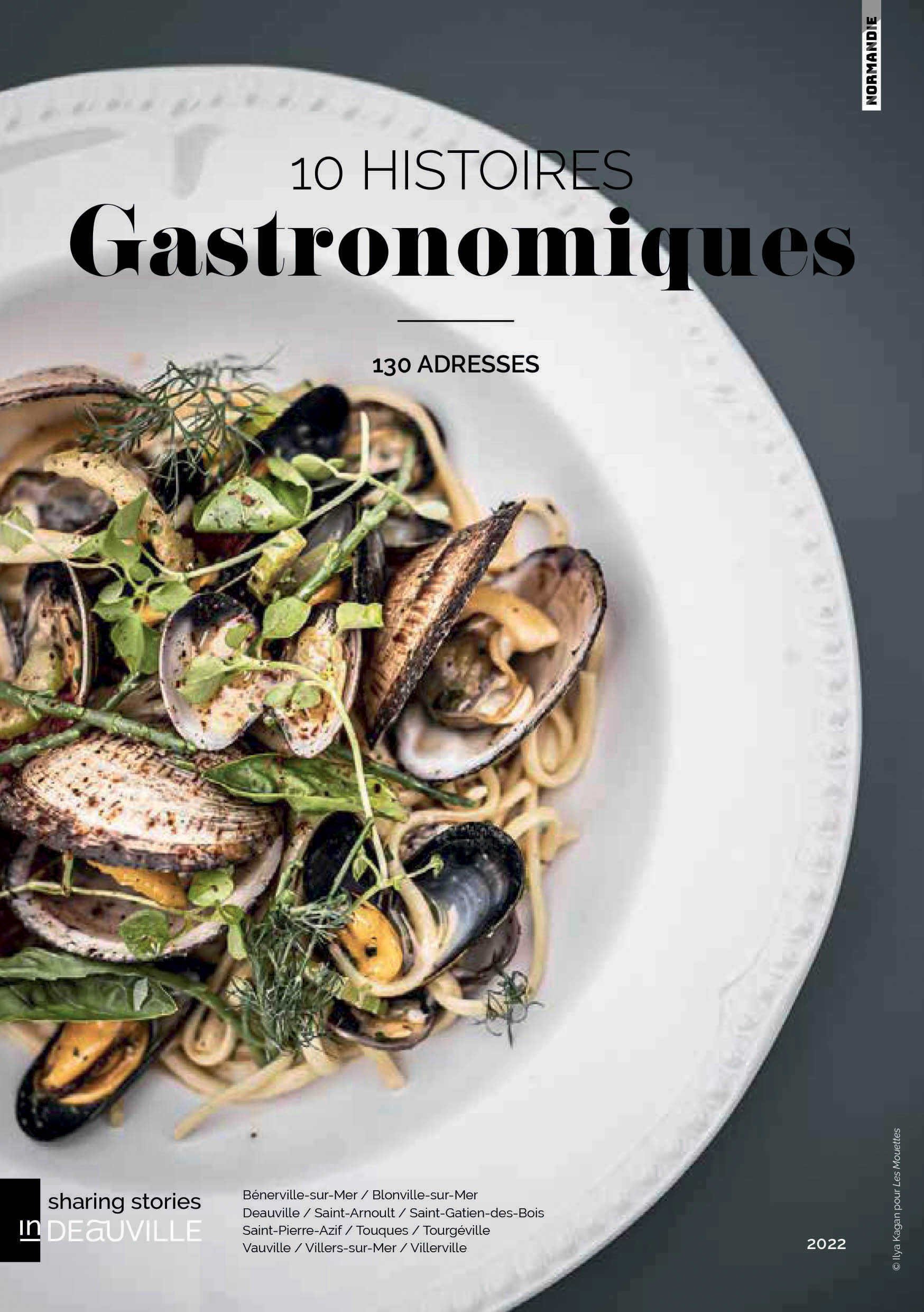 Anne Halley Portfolio