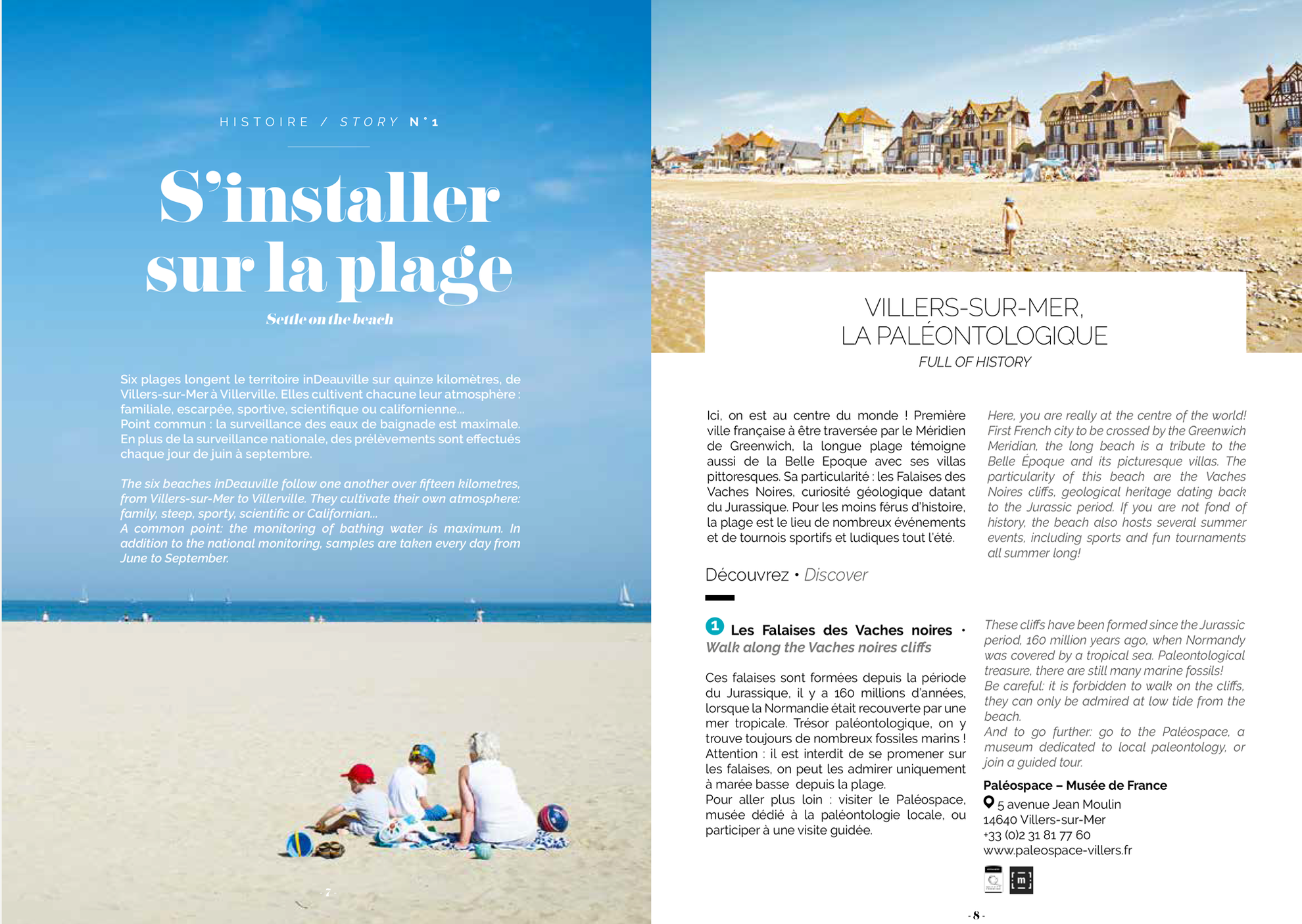 Anne Halley Portfolio