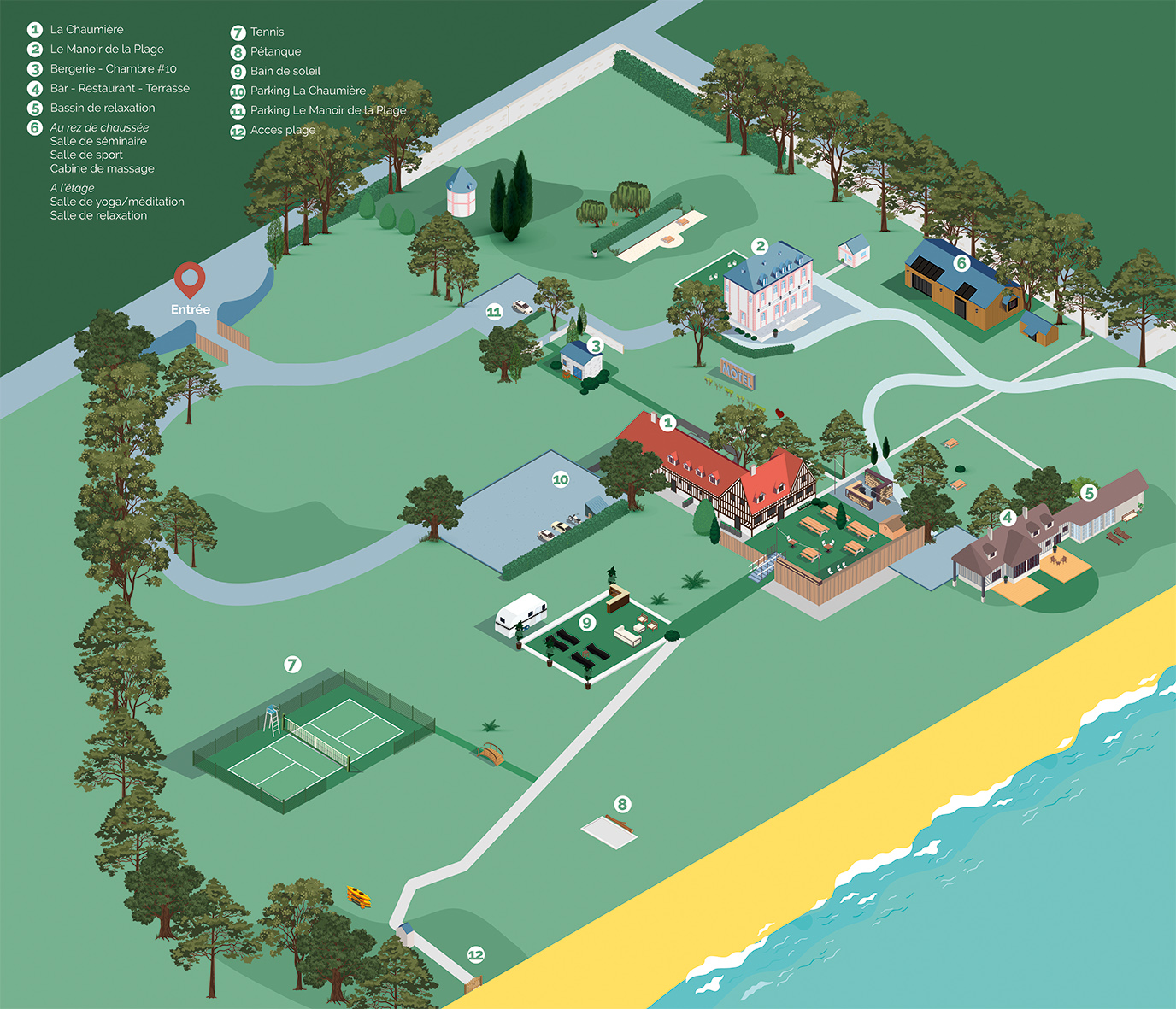 Anne Halley Portfolio