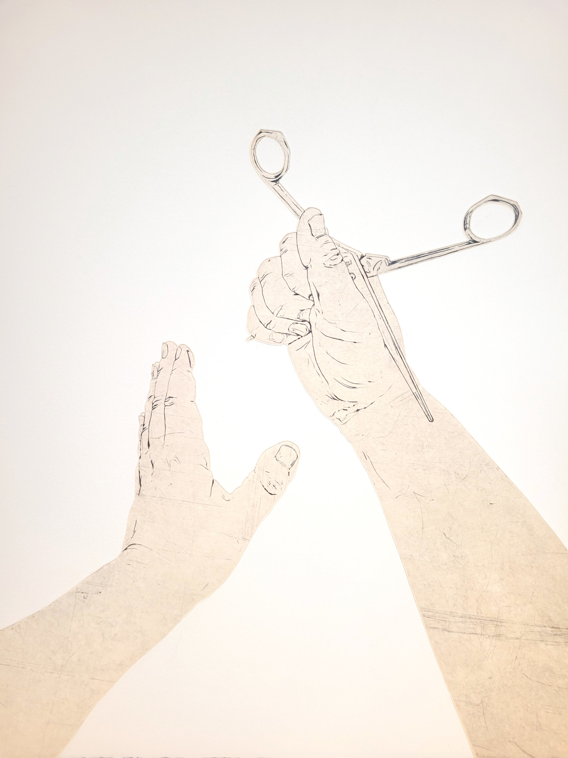 Barbara Dumas-portfolio Portfolio