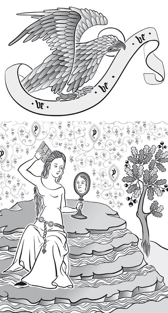 Barbara Dumas : Portfolio : Illustration contrastée et Gaufrage