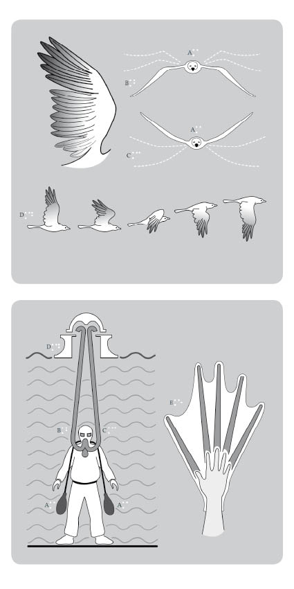 Barbara Dumas : Portfolio : Illustration contrastée et Gaufrage