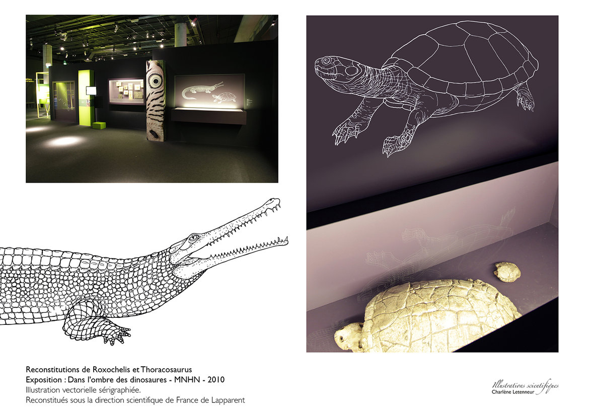 Illustrations et expositions scientifiques, naturaliste ...