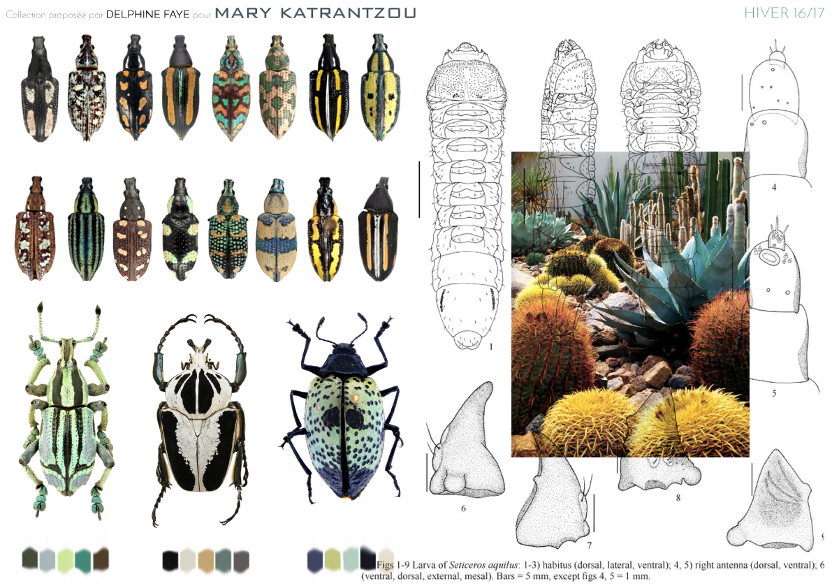 Delphine Faye Portfolio Portfolio