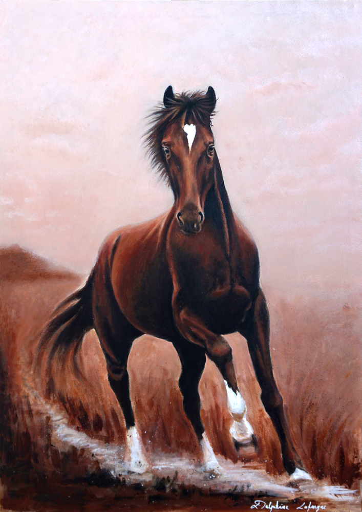 Delphine Lafargue Portfolio :Peintures sur toile