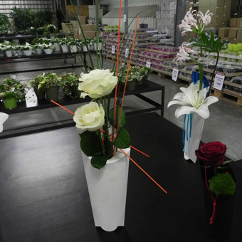 Guy TIERS : Eco Concept : Easy Stand Up Box®