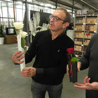 Guy TIERS : Eco Concept : Easy Stand Up Box®