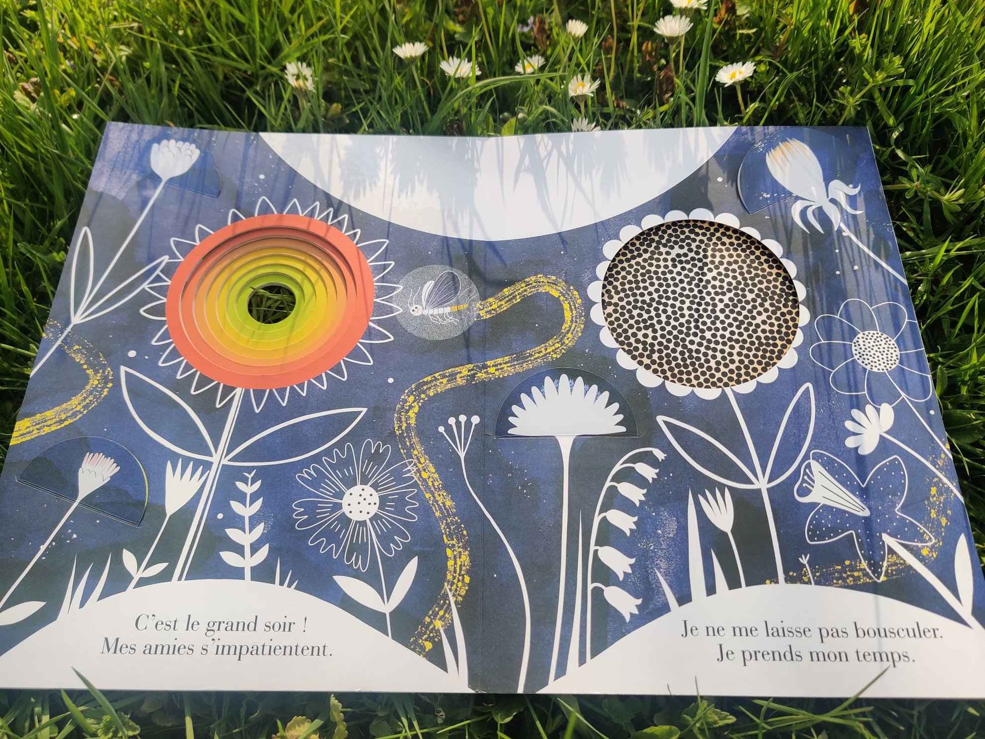 Hector dexet illustration Portfolio :- LE CHEVALIER