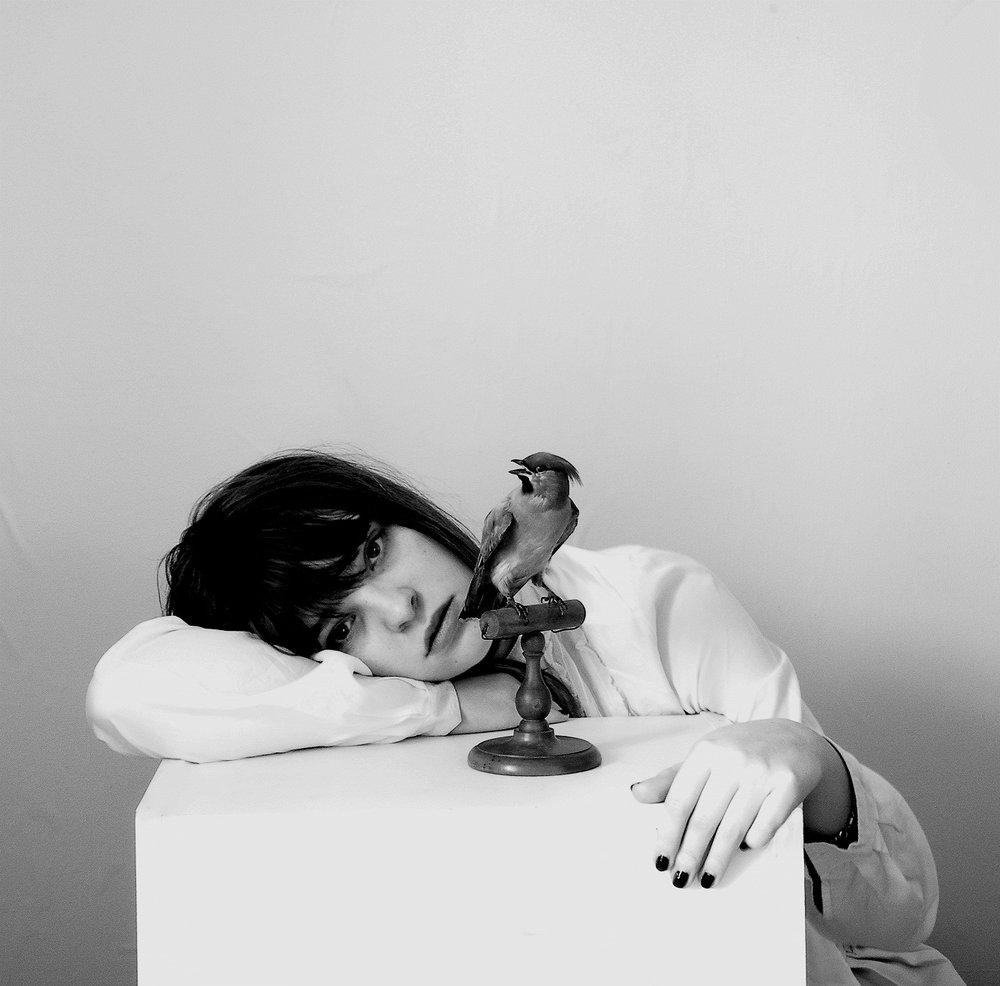 Caroline Perrot : Portfolio :Portfolio