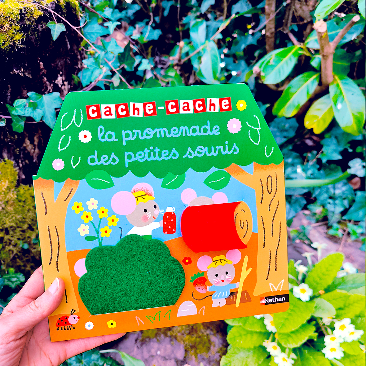 Mélisande Luthringer : Portfolio