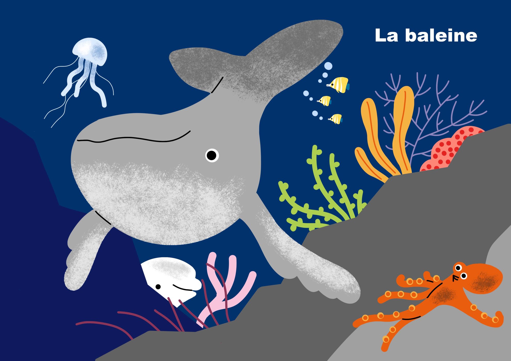 Ultra-book de sophiebouxom Portfolio